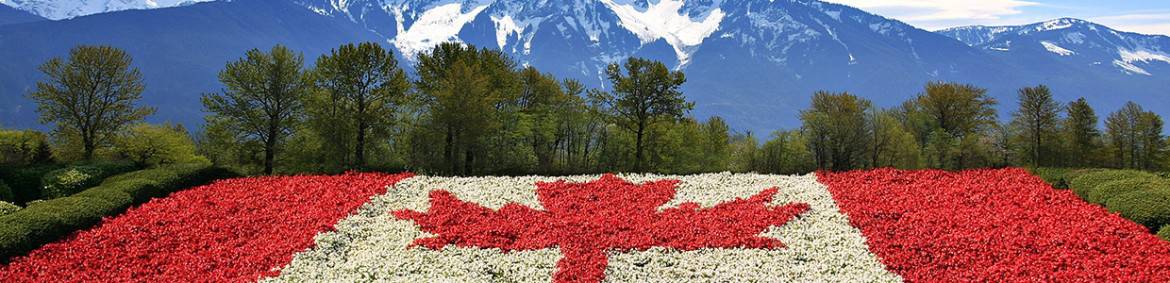 Canada’s Fast-Track Global Skills Visa: Details Begin to Emerge ...