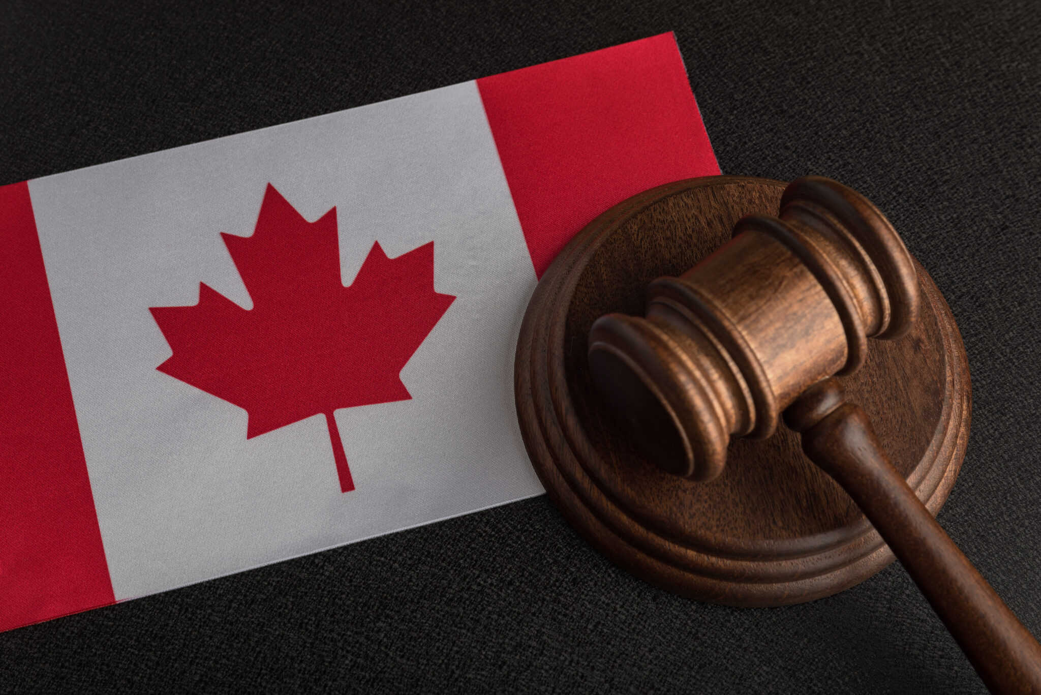 Canadian Government Faces Class-Action Lawsuit for the Terms of Its ...